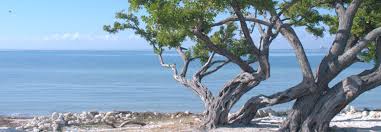Historic Virginia Key - Key Biscayne Chamber of Commerce